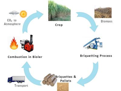 Biomass Energy Cycle